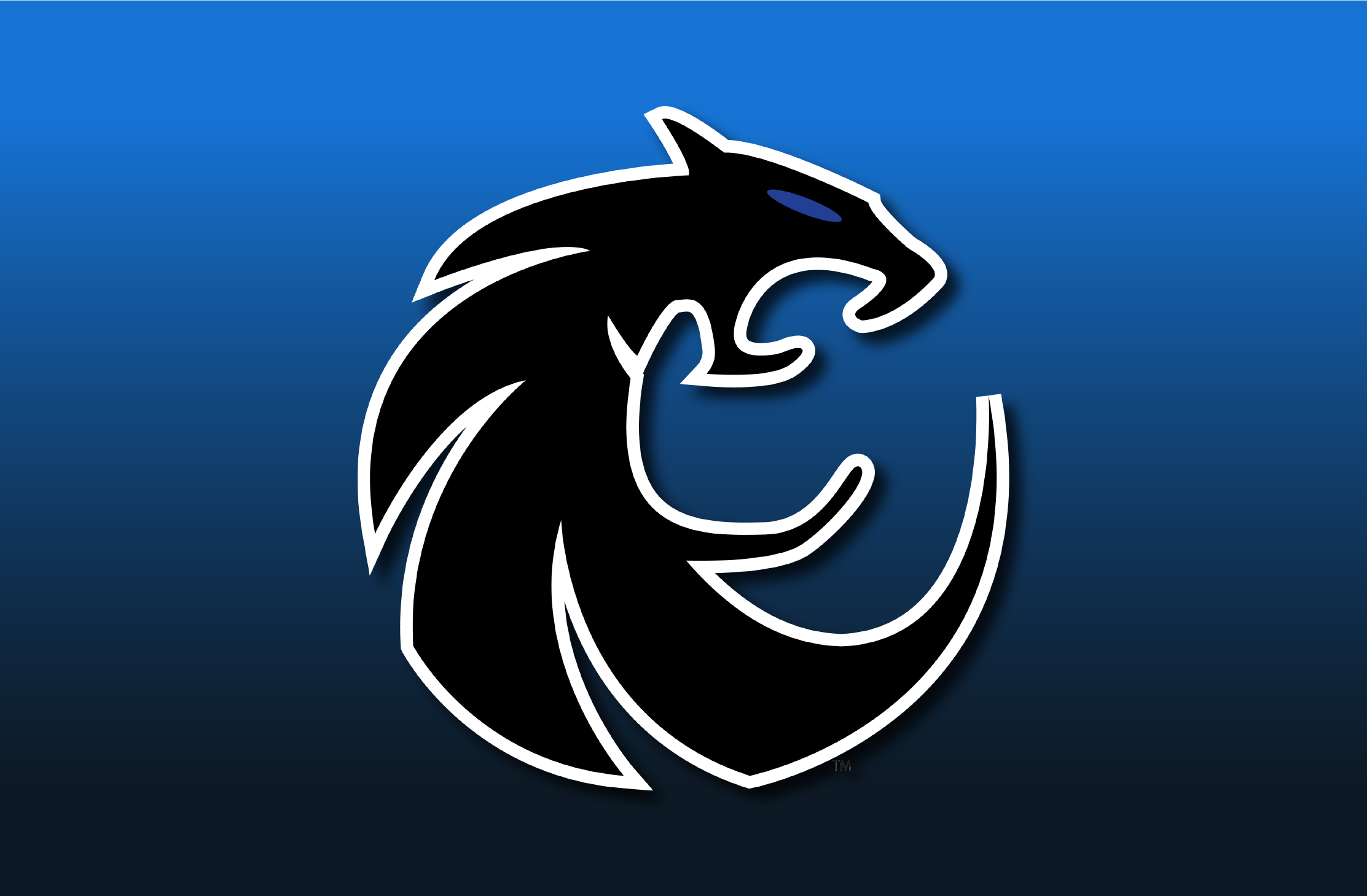 Guyer High School / Home